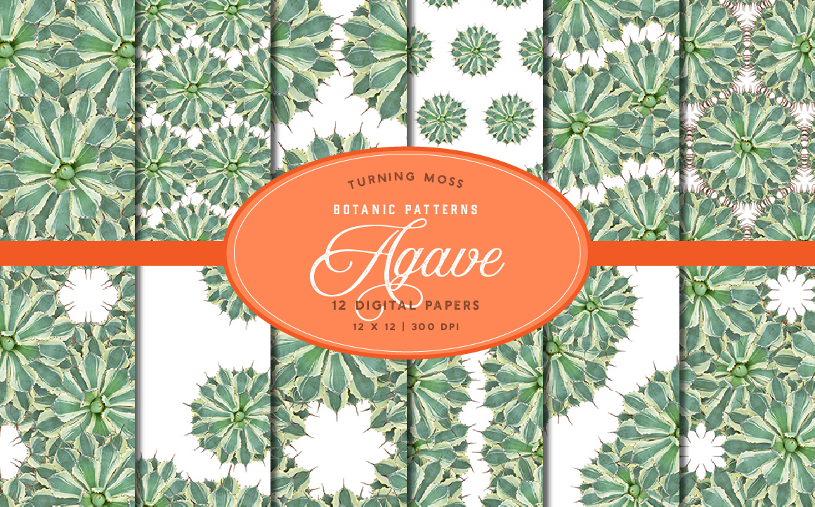 Agave Kissho Kan – Digital Paper