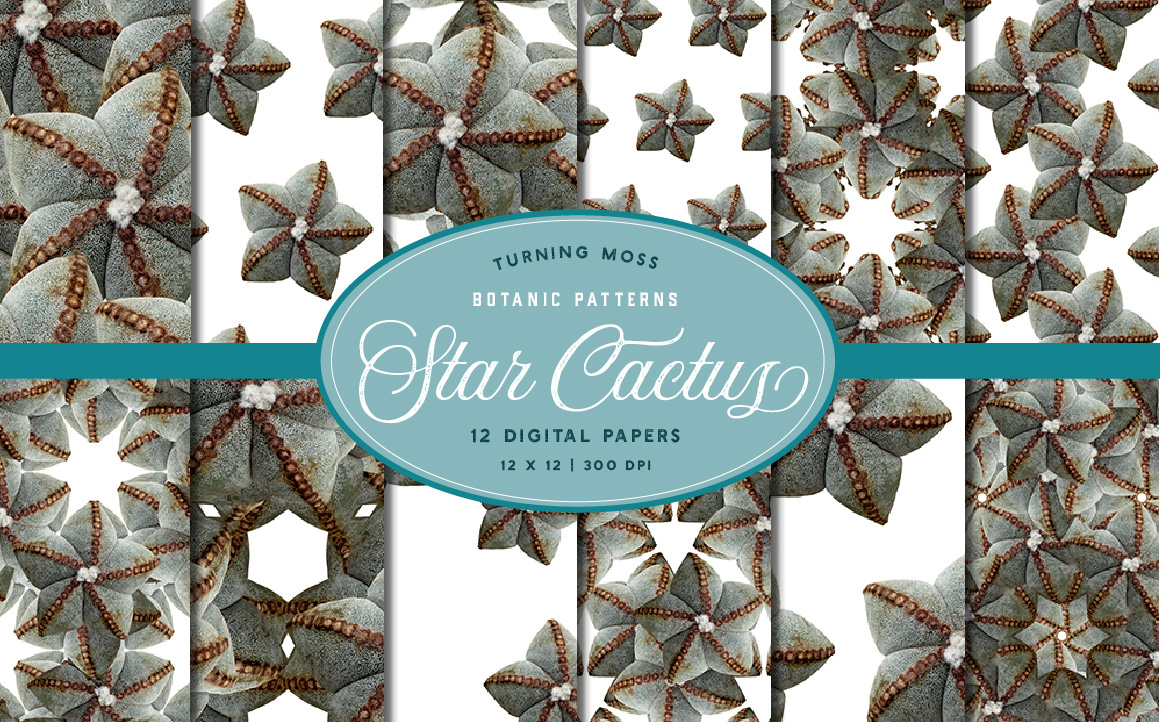 Star Cactus – Digital Paper
