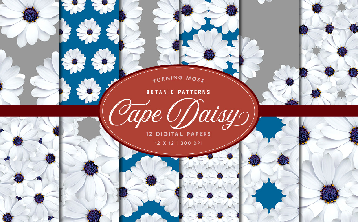 White Daisy Flower – Digital Paper