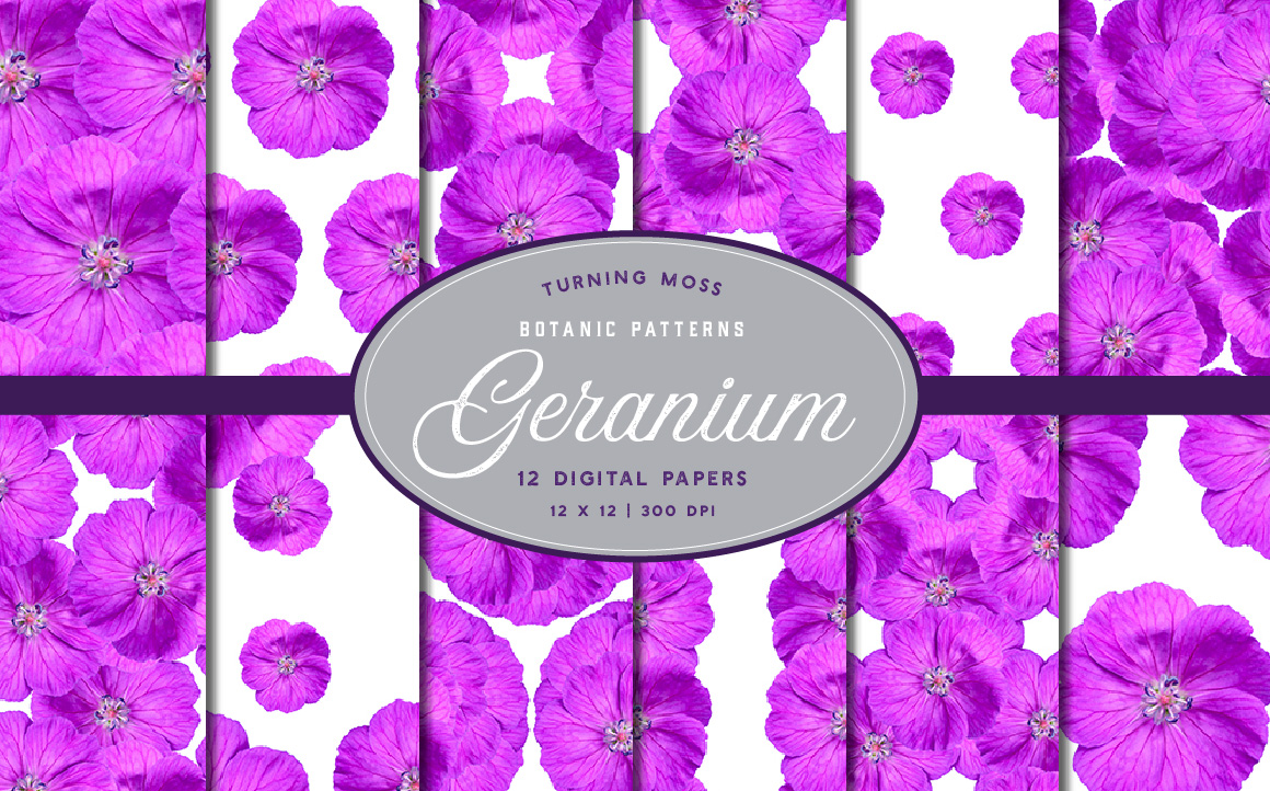 Cranesbill Geranium – Digital Paper