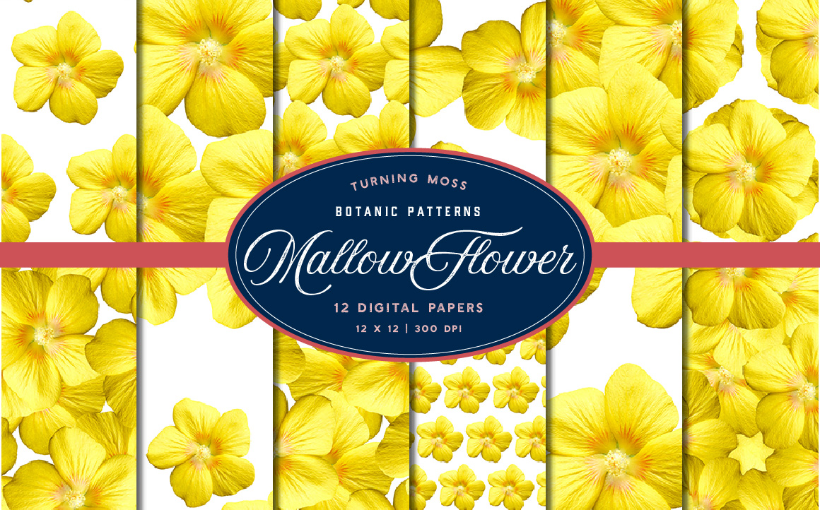Yellow Mallow Flower – Digital Paper