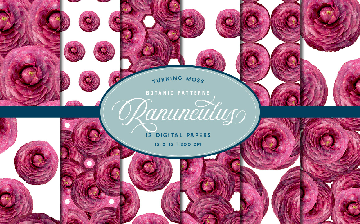 Pink Ranunculus – Digital Paper