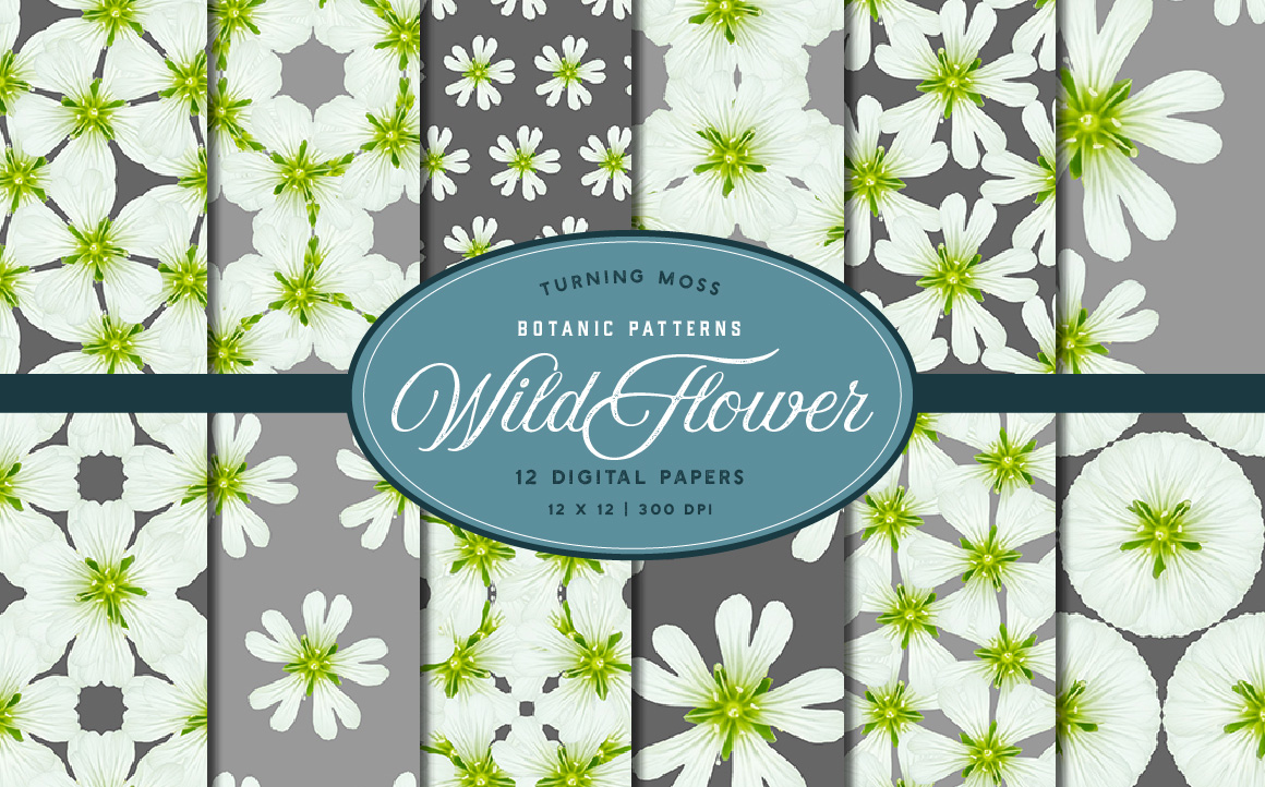 White Wild Flower – Digital Paper