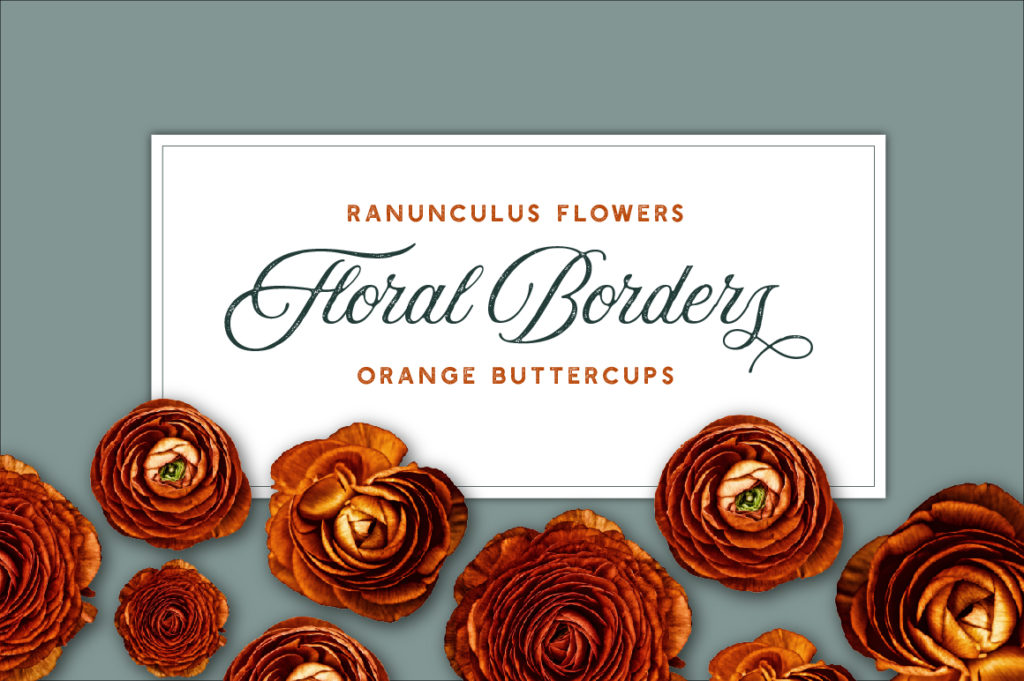 Ranunculus Floral Borders